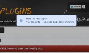 jNotify: Disply animated boxes (informations, errors, success) in just ...